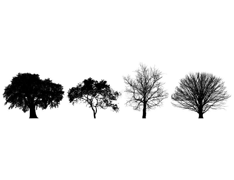 Four Trees stock vector. Illustration of season, leaves - 9456872