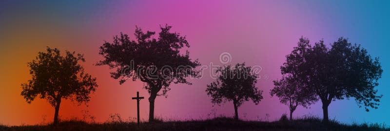 Four Trees on Meadow Isolated on Colored Background Stock Image - Image ...