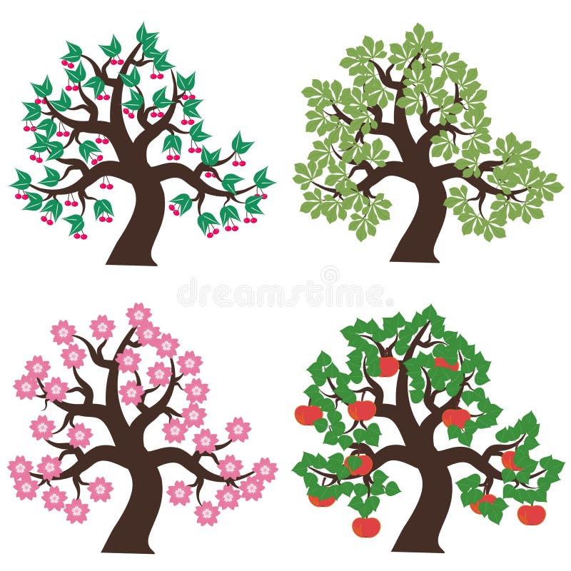 Four Trees on White Background Stock Vector - Illustration of flora ...