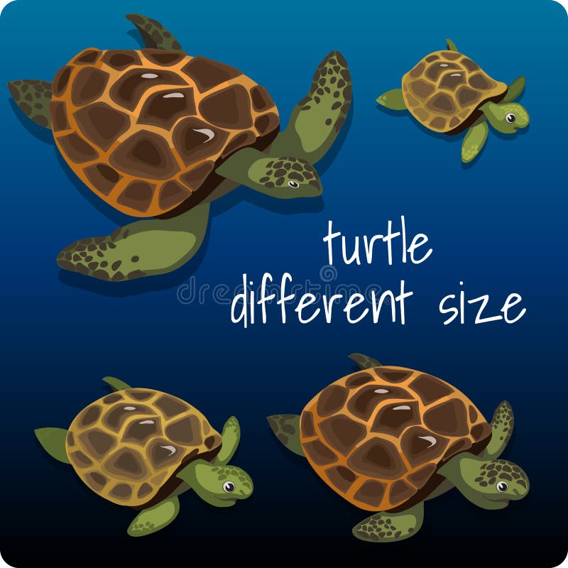 Four Turtles with Space for Text Stock Vector - Illustration of spotted ...