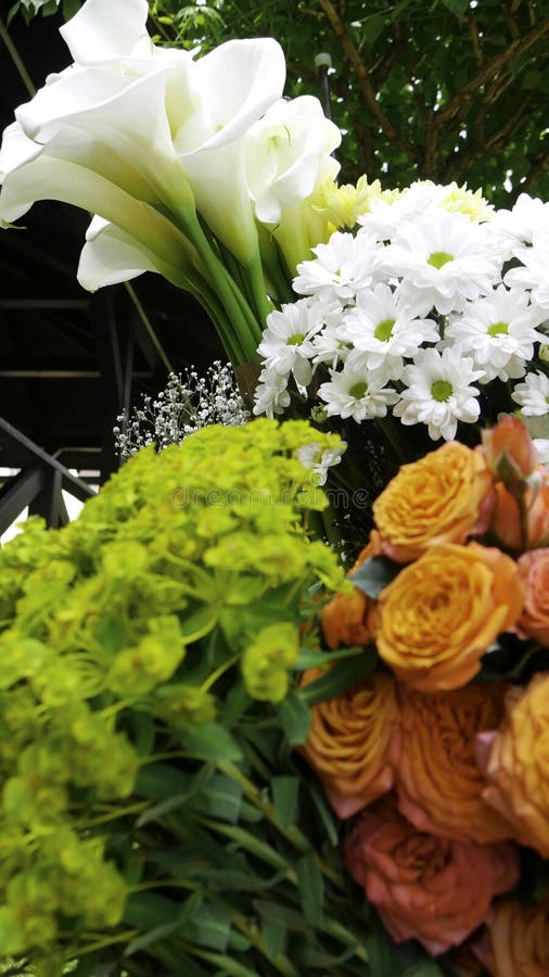 Four Types of Decorative Flowers Stock Photo - Image of anniversary ...