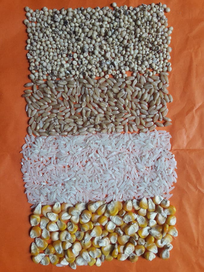 929 Maize Rice Wheat Photos - Free & Royalty-Free Stock Photos from ...