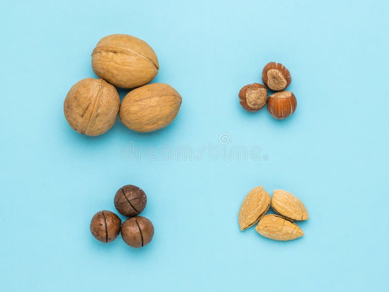 Four Types of Nuts on a Light Blue Background. Flat Lay Stock Image ...
