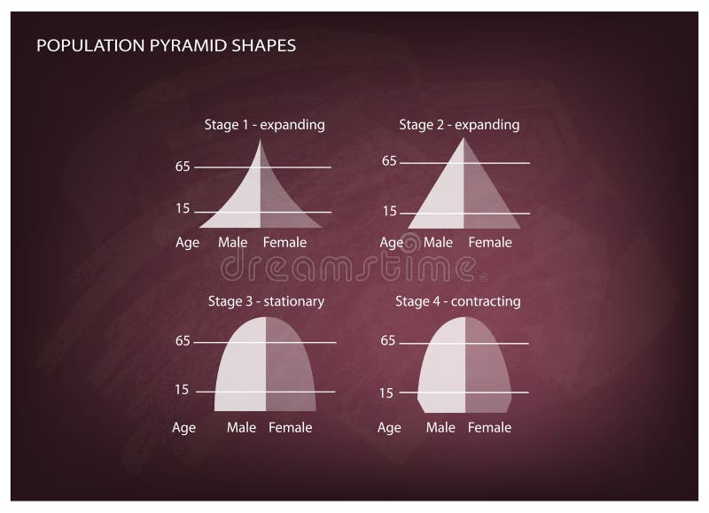 Four Types of Population Pyramids on Chalkboard Background Stock Vector ...