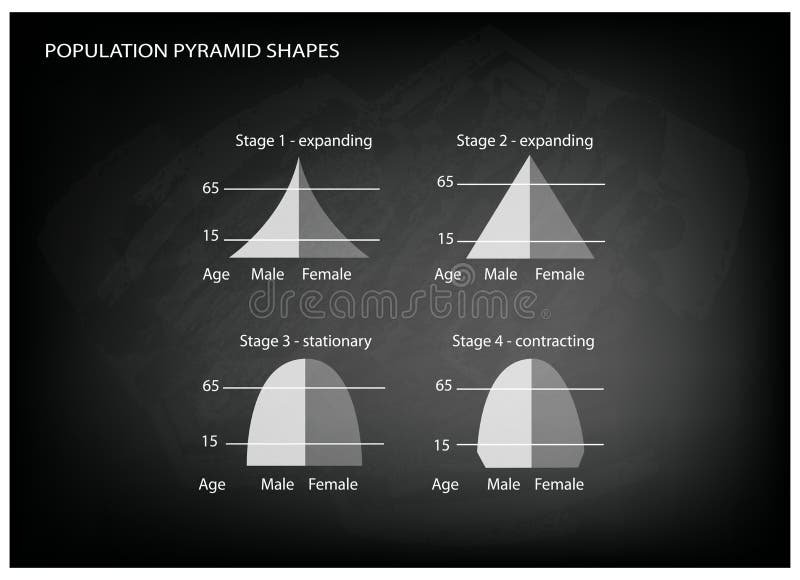 Four Types of Population Pyramids on Chalkboard Background Stock Vector ...