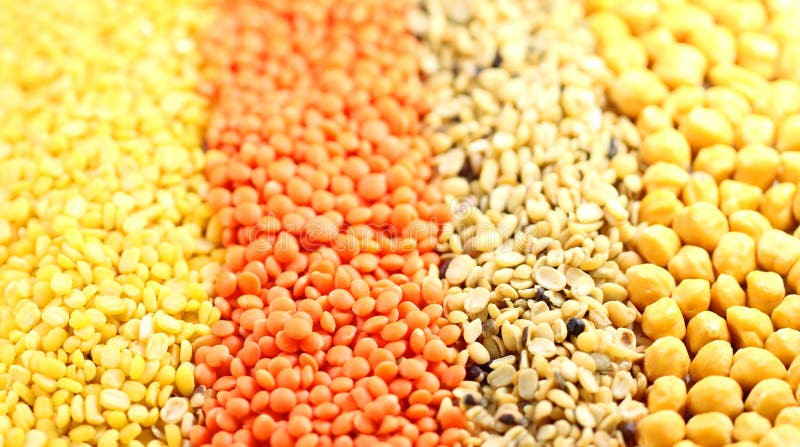 Four types of pulses stock image. Image of healthy, asian - 26418615