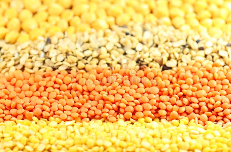 Four types of pulses stock photo. Image of daal, indian - 27149460