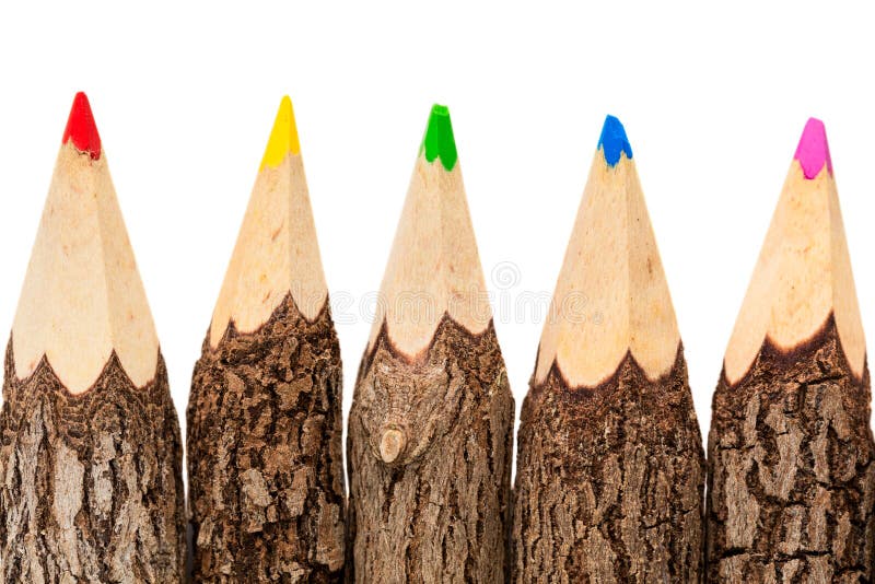 Four Unprocessed Raw Wood Pencils, Isolated on White Background, Top ...