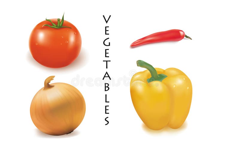 Four vegetables. stock vector. Illustration of water - 13611949