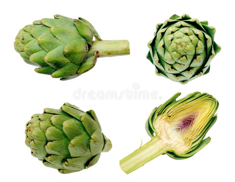 Four Views of Cordless Computer Mouse Stock Photo - Image of phone ...