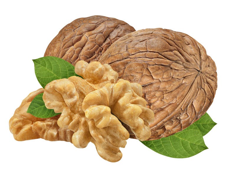 1,227 Walnut Package Stock Photos - Free & Royalty-Free Stock Photos ...