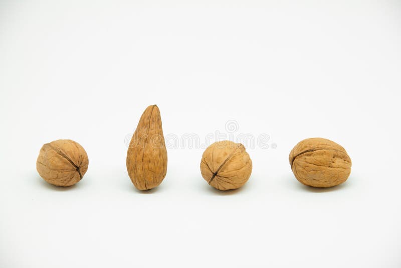 Four Walnuts in Line on a White Background in Which One is a Different ...