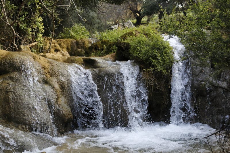 Four Waterfalls stock image. Image of spring, tiny, waterfalls - 142697159