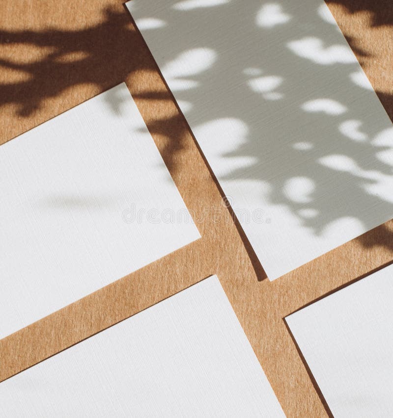 Four White Blank Sheets Shadow Free Space Stock Photo - Image of blank ...