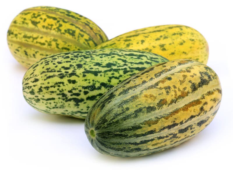 Four whol Mushkmelon stock image. Image of round, fruit - 40669555