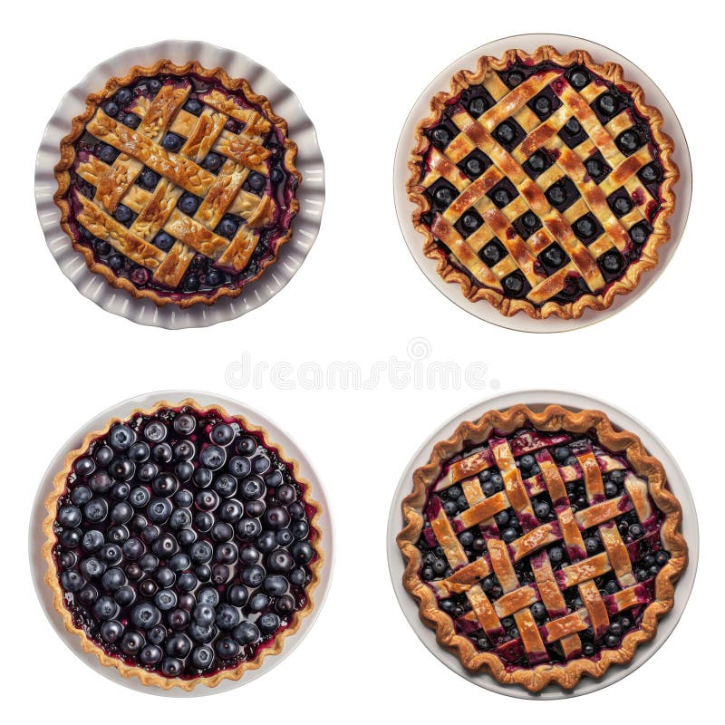 Four Whole Blueberry Pies in White Pie Plates Stock Illustration ...