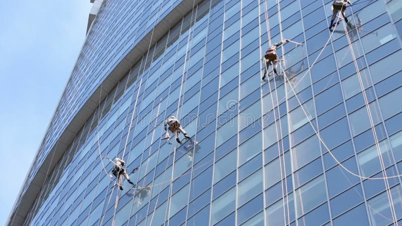 Four Workers Hang on Ropes and Wash Windows of Stock Footage - Video of ...