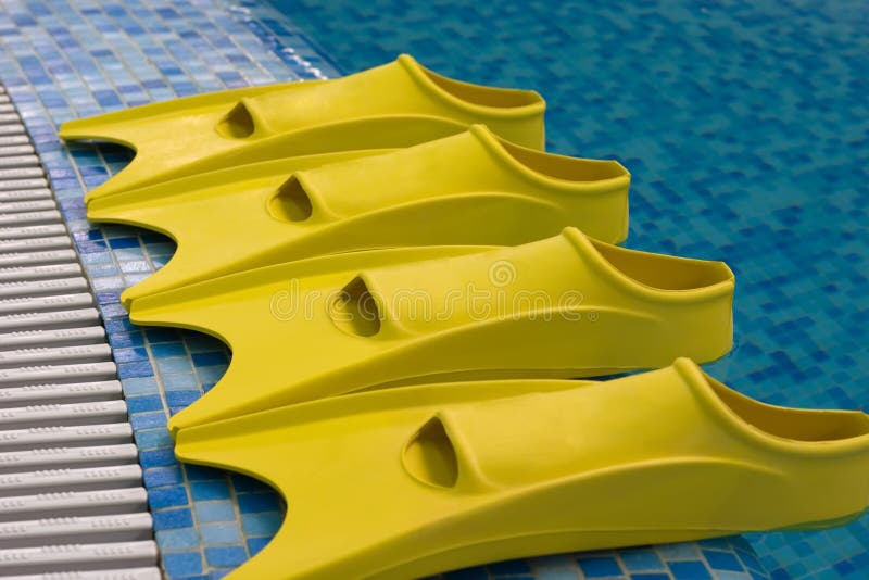 Yellow Fins stock photo. Image of tuna, ocean, fish, marine - 1452300