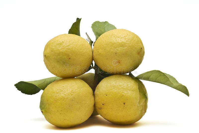 Four yellow lemons. stock photo. Image of drinks, influenza - 12617902