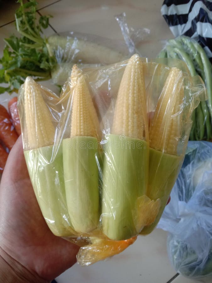 Four Young Corn Ready To Be Cooked Stock Photo - Image of plant ...
