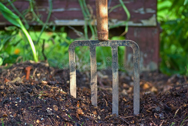 Fourche photo stock. Image du agricole, ferme, ustensile - 30416844