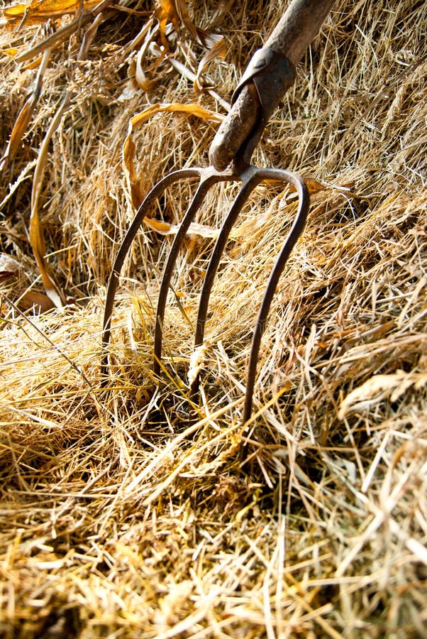 Fourche image stock. Image du balle, dent, jardinage - 26183795