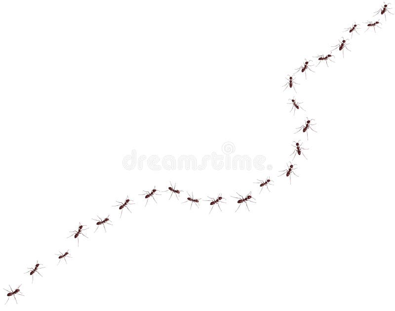 Cadre/trame Noirs De Fourmis Illustration de Vecteur - Illustration du ...