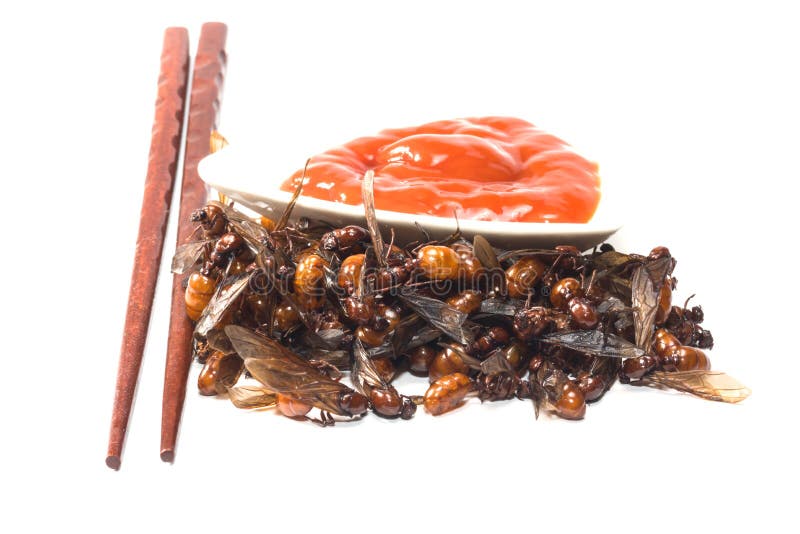 Fourmi De Ried - Fourmis Souterraines Frites Image stock - Image du ...