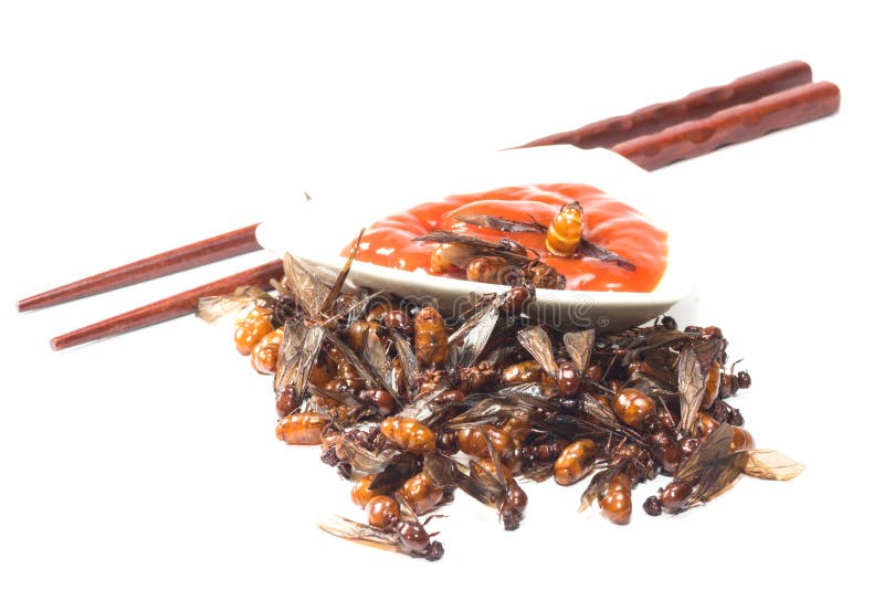 Fourmi Ried - Fourmis Souterraines Frites Image stock - Image du ...