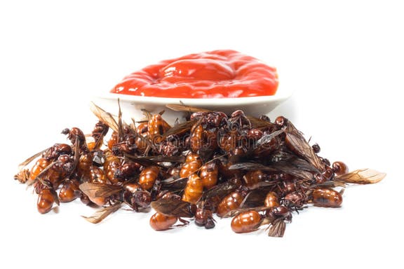 Fourmi De Ried - Fourmis Souterraines Frites Photo stock - Image du ...