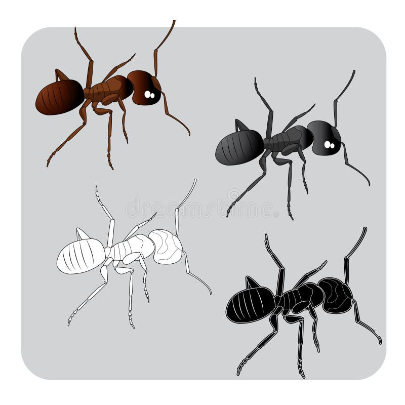 Fourmi de vecteur illustration de vecteur. Illustration du conception ...