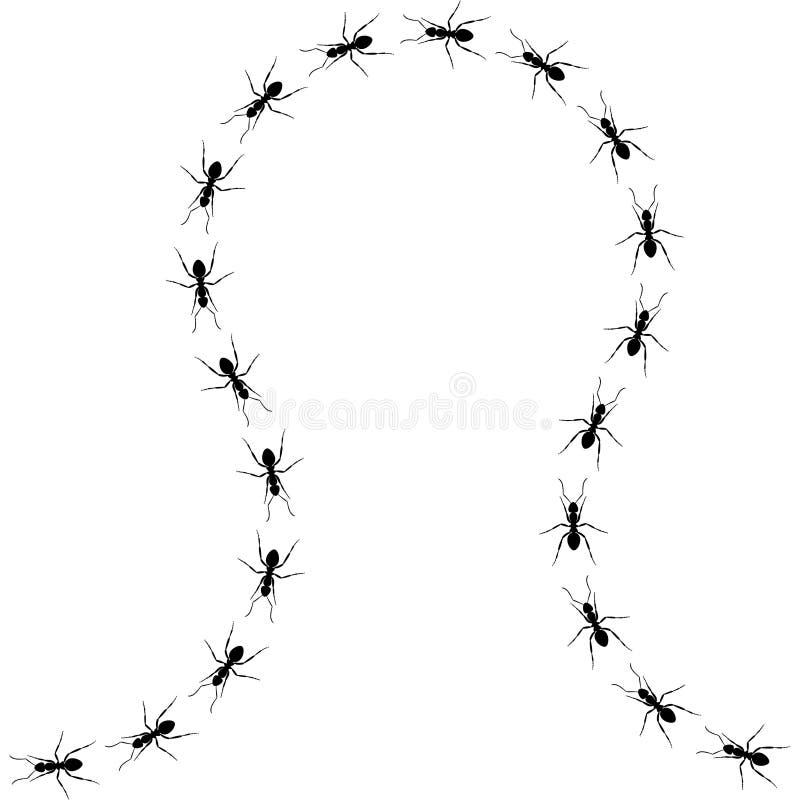 Ligne noire de fourmis illustration de vecteur. Illustration du ...