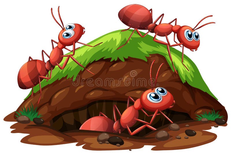 Fourmis Stock Illustrations, Vecteurs, & Clipart – (4,813 Stock ...