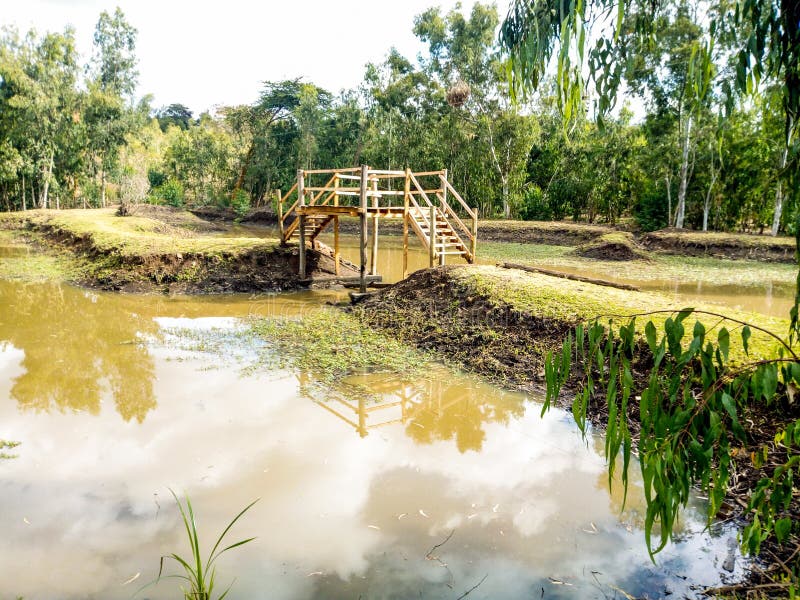 Fourteen Falls Team Building Off Work Stock Image - Image of falls ...