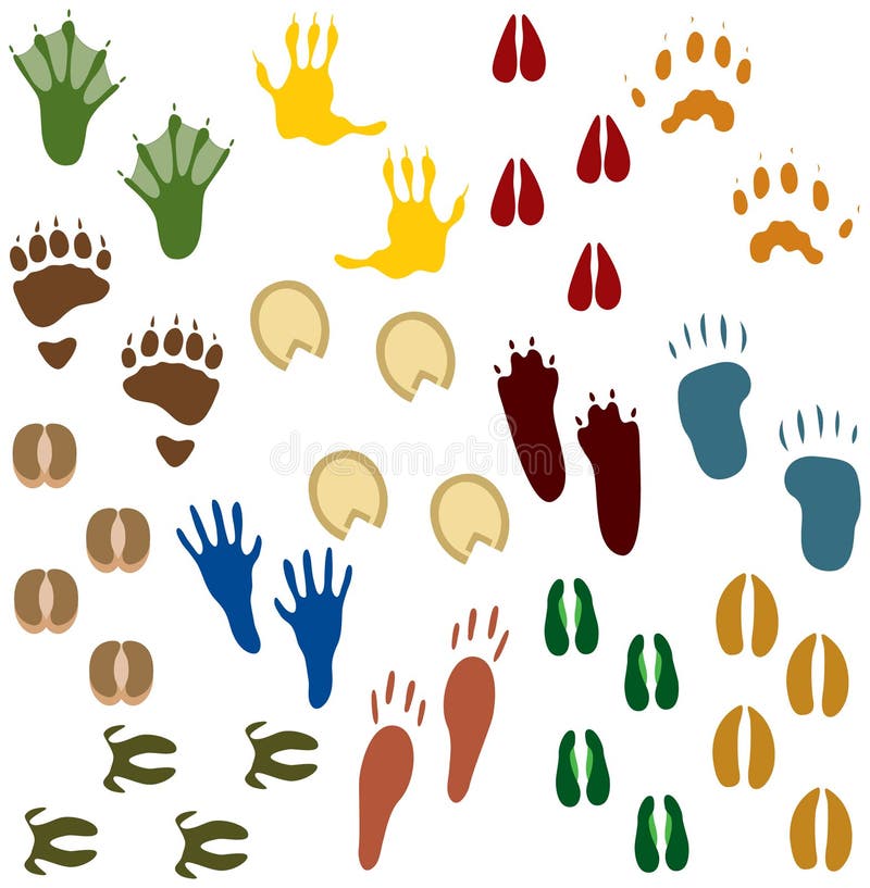 Animal Tracks Stock Illustrations – 4,302 Animal Tracks Stock ...