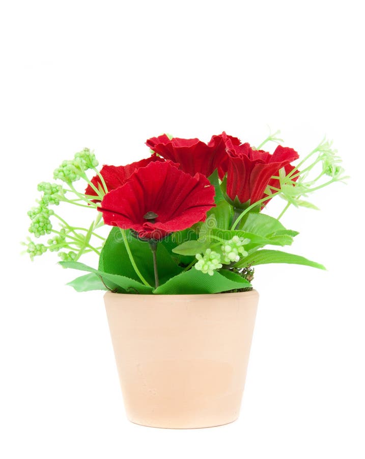 Fower imagem de stock. Imagem de fresco, colorido, verde - 41433699