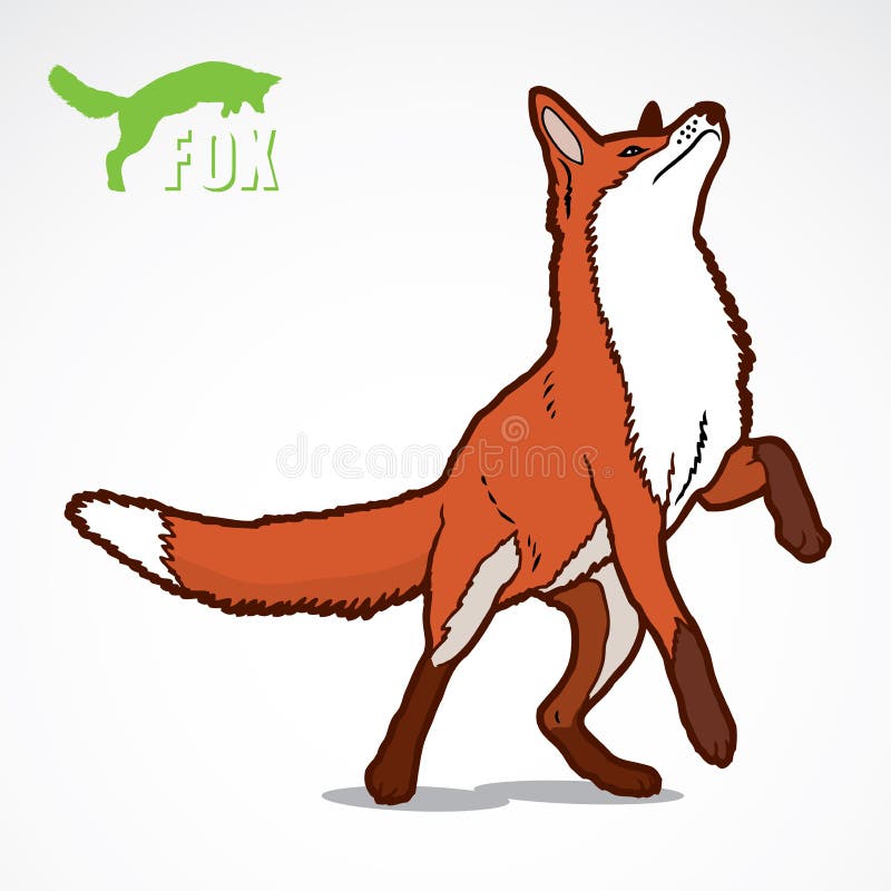Walking vibrant fox stock vector. Illustration of doodle - 45595160