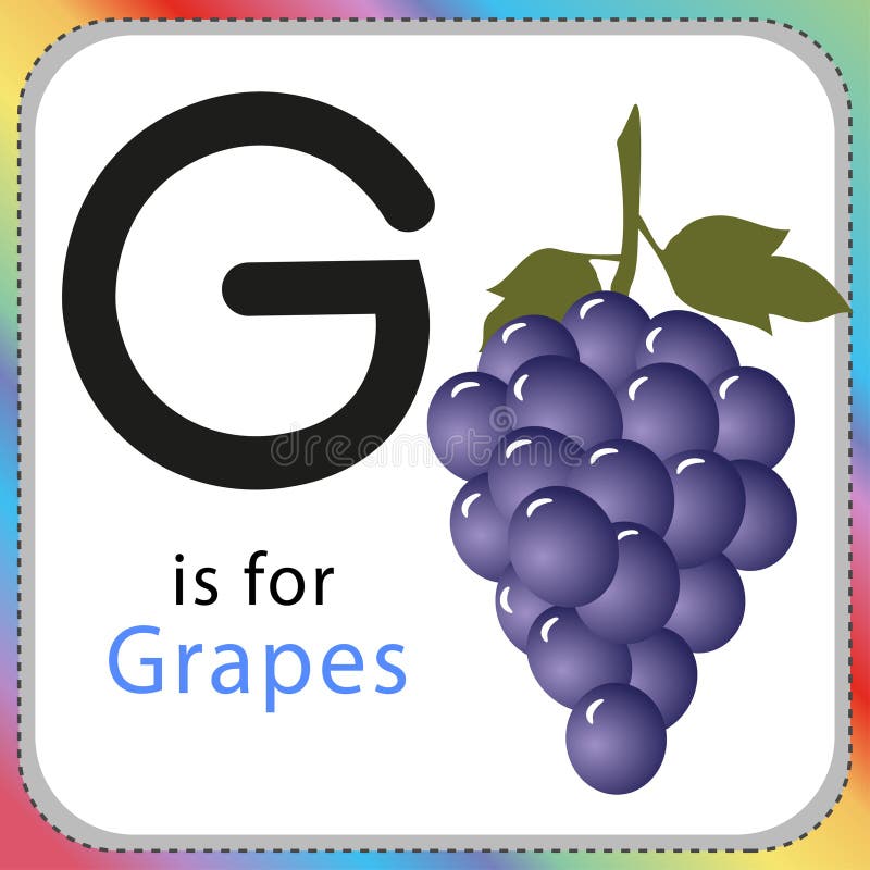 G is for Grapes stock illustration. Illustration of vibrant - 360200080