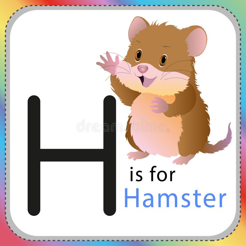 H is for Hamster stock illustration. Illustration of teaching - 360200098