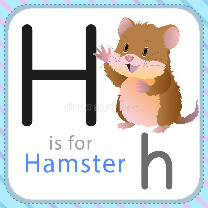 Cute Hamster Illustration To Learn Alphabet Letter H for Kids Stock ...