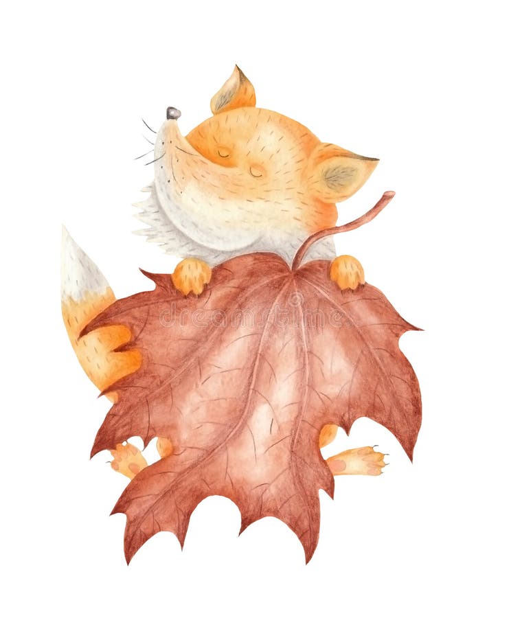 Fox and autumn leaf stock illustration. Illustration of nature - 160337147