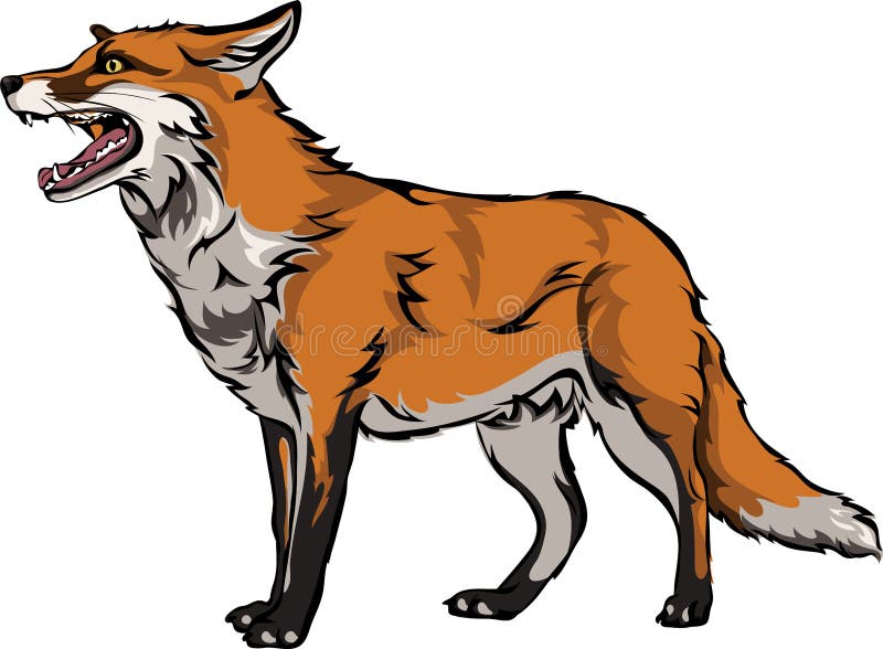 Fox, Color, Various Poses, Situations, Vector, Drawing Stock Vector ...