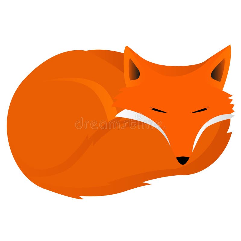 Fox curled up stock vector. Illustration of nature, ball - 102011570
