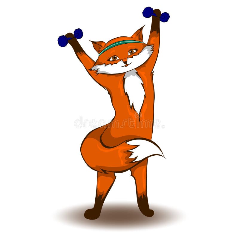 Fox with dumbbells stock illustration. Illustration of muscle - 71141978