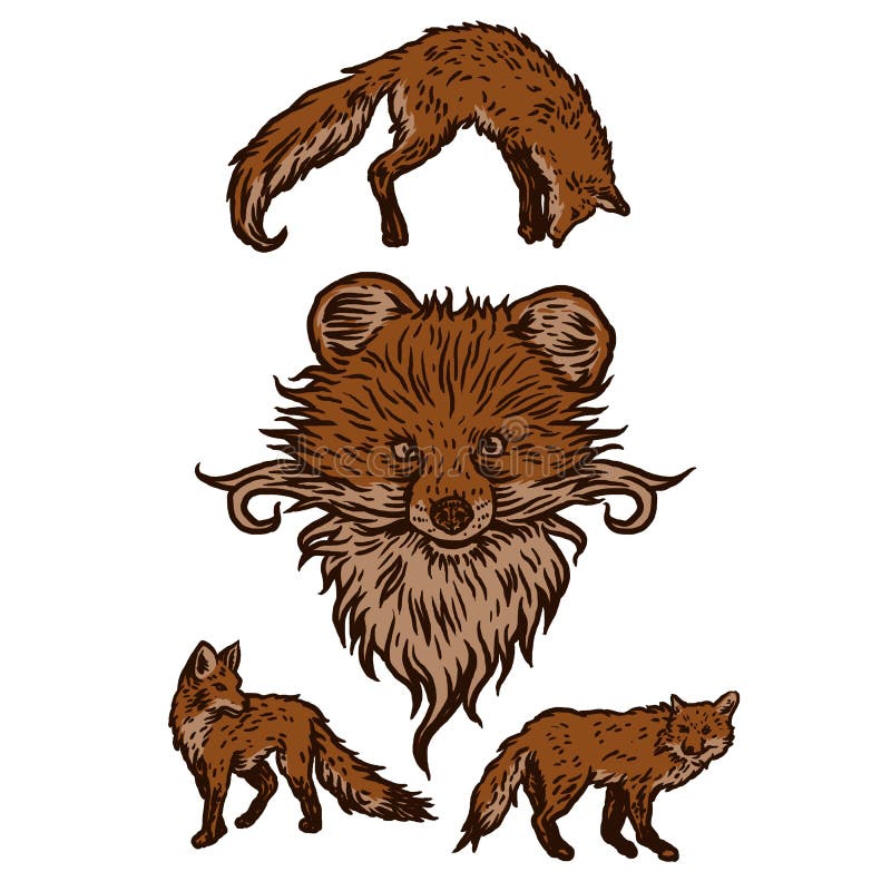 Fox element illustration stock vector. Illustration of dark - 163483121