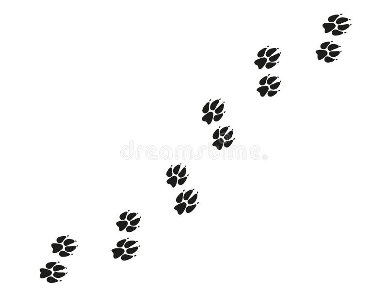 Fox Feet Tracks. Animals Paws and Sillhouetts Stock Vector ...
