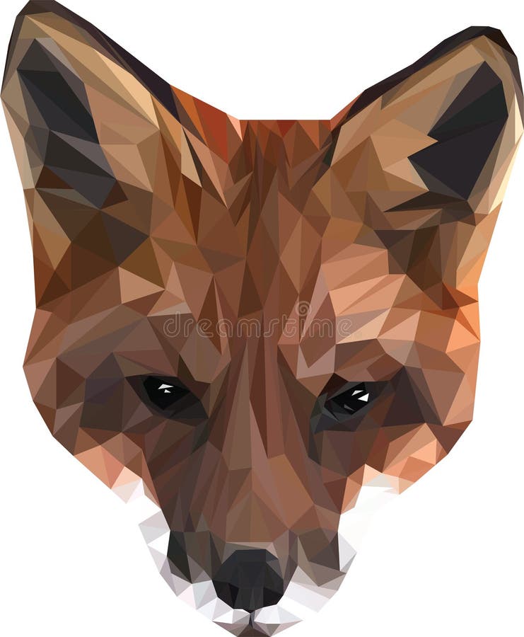 Low poly fox head isolated stock vector. Illustration of triangular ...