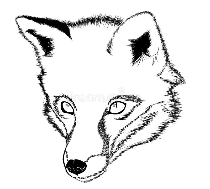 Fox Front Stock Illustrations – 722 Fox Front Stock Illustrations ...