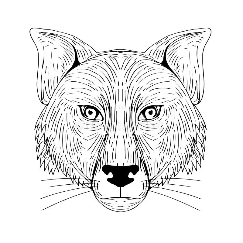 Fox Front Stock Illustrations – 2,423 Fox Front Stock Illustrations ...