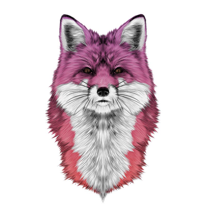 Fox Head Realistic Stock Illustrations – 435 Fox Head Realistic Stock ...